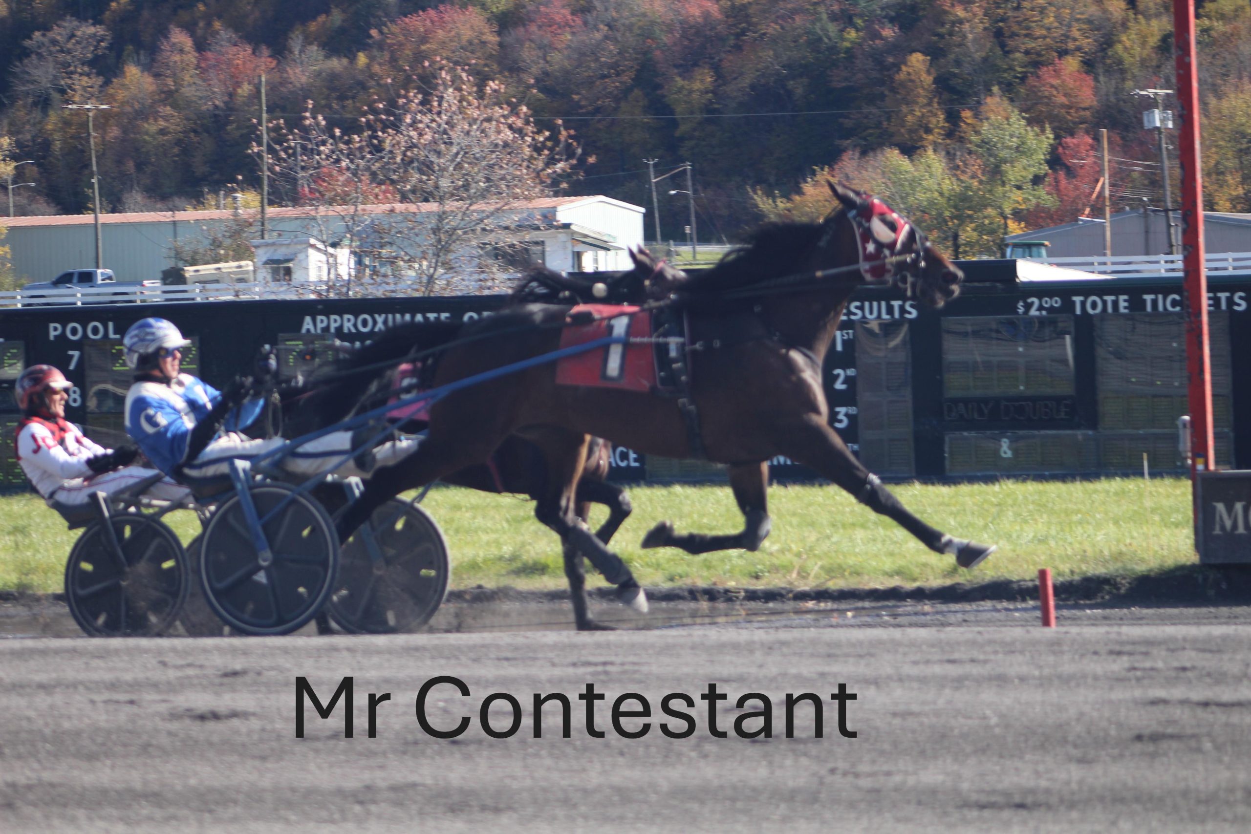 Mr Contestant Wins Open - Monticello Raceway